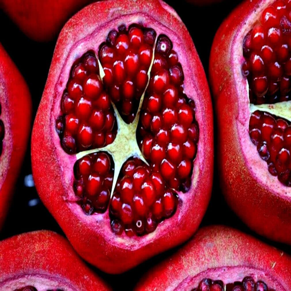Dwarf Pomegranate Tree Seeds Punica Granatum Garden Fruit Seeds 50 Piece