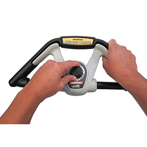 Honda 660250 187cc Gas 21 in. 4-in-1 Versamow System Lawn Mower with Clip Director and MicroCut Blades