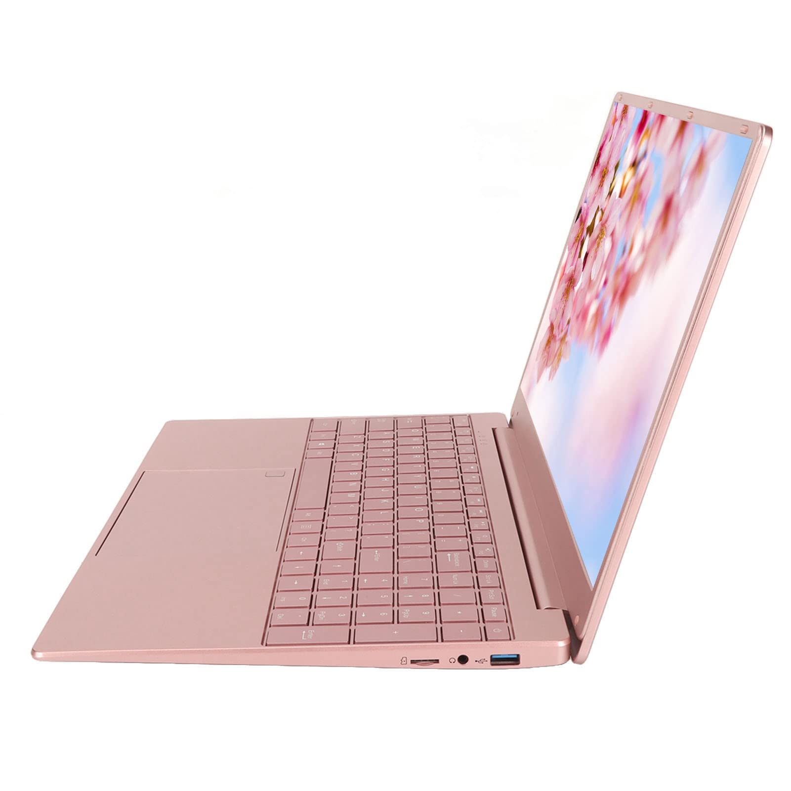 FOTABPYTI Laptop Computer, Fingerprint Reader IPS Display 15.6 Inch Business Laptop for Gaming (16+256G US Plug)