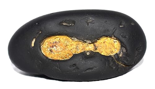 Rudrakshguru Laxmi Narasimha Shaligram - Gandaki River Nepal