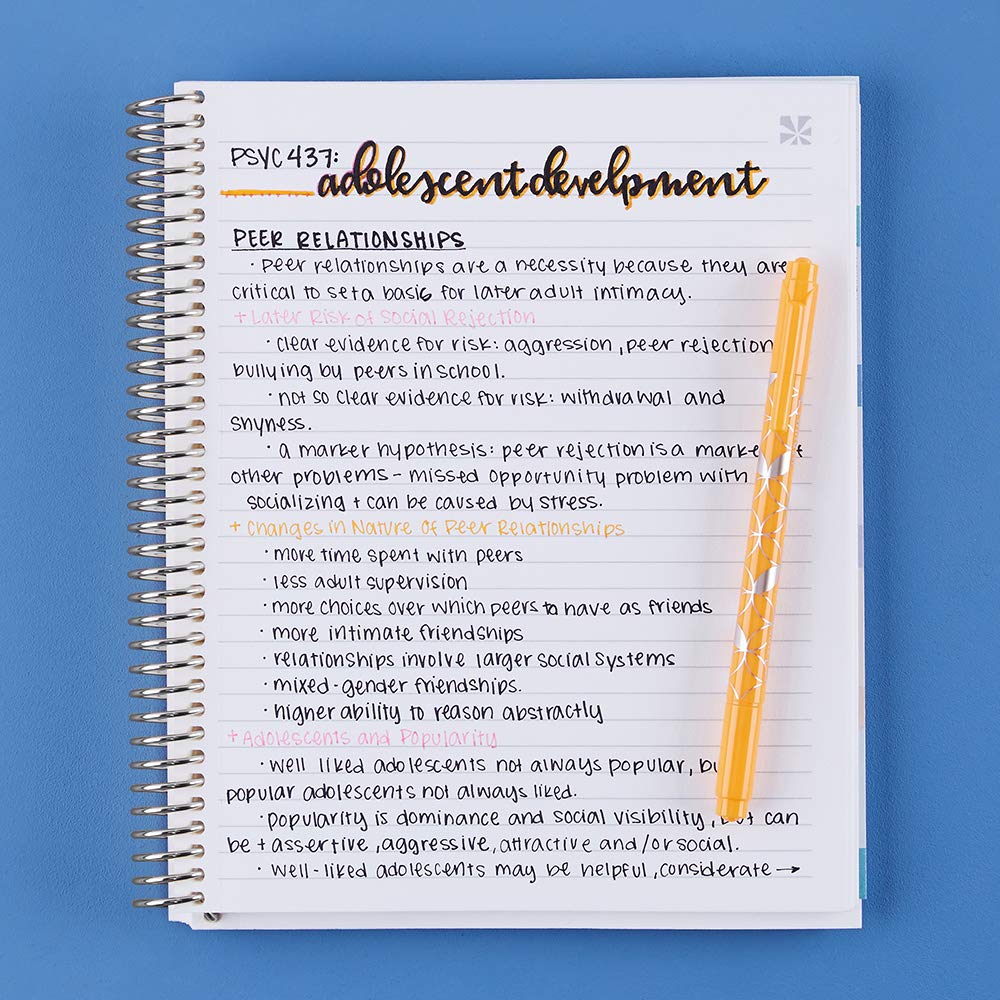 Erin Condren 7" x 9" Spiral Bound College Ruled Notebook - Daisies. 160 Lined Page Note Taking & Writing Notebook. 80Lb Thick Mohawk Paper. Stickers Included