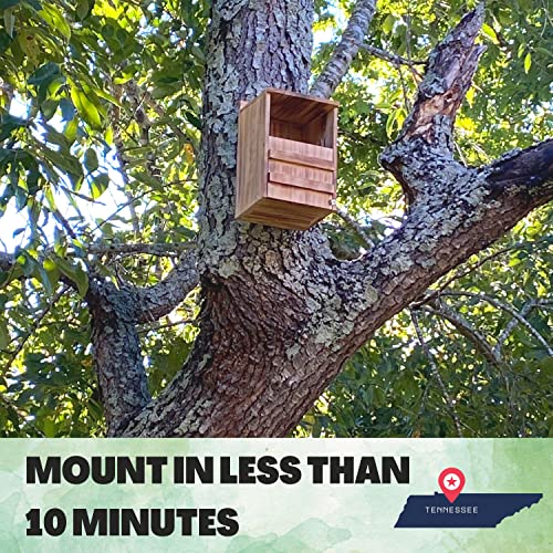 SDMOutdoor North American Screech Owl House, Wooden Owl Nesting Box, Screech Owl, Barn Owl. No Assembly Required Includes All Hardware. Cedar Nesting Box.