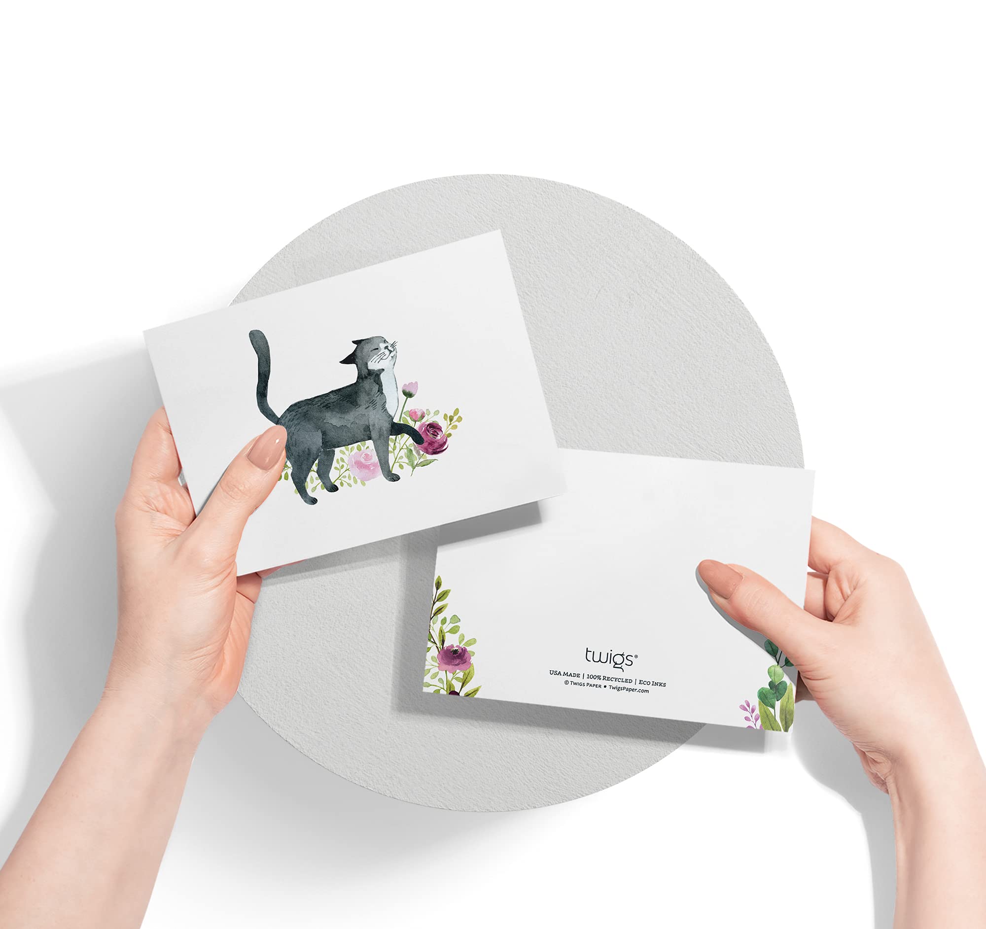 Twigs Paper - Assorted Cat Greeting Cards - Stationery Cards with Envelopes - Thank You Card - Blank Note Cards - Greeting Cards for All Occasions - Made in USA (5.5 x 4.25, Set of 12)