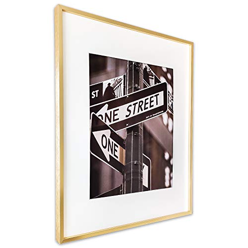 TheDisplayGuys - Contemporary Aluminum Picture Frame - Tempered Glass - 20x24 matted to 16x20 - Gold - Wall Hanging