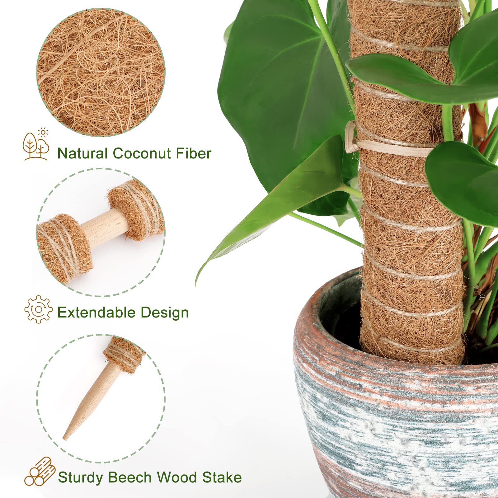 HongWay 77 Inch Moss Pole for Plant Monstera, 6 Pack 17 Inch Moss Plant Support, Monstera Support, Plant Climbing Pole, Moss Plant Stake