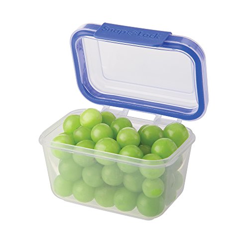 SnapLock by Progressive 2-Cup Storage Container - Blue, Easy-To-Open, Leak-Proof Silicone Seal, Snap-Off Lid, Stackable, BPA FREE