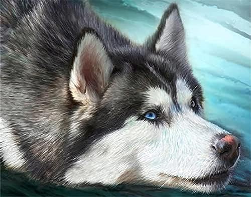 Wingkin Stamped Cross Stitch Kits Husky Dog 11CT Advanced Pre-Printed Cross-Stitch Pattern Embroidery DIY Beginner Adults Kids Home Decoration ďź40x50cmďź