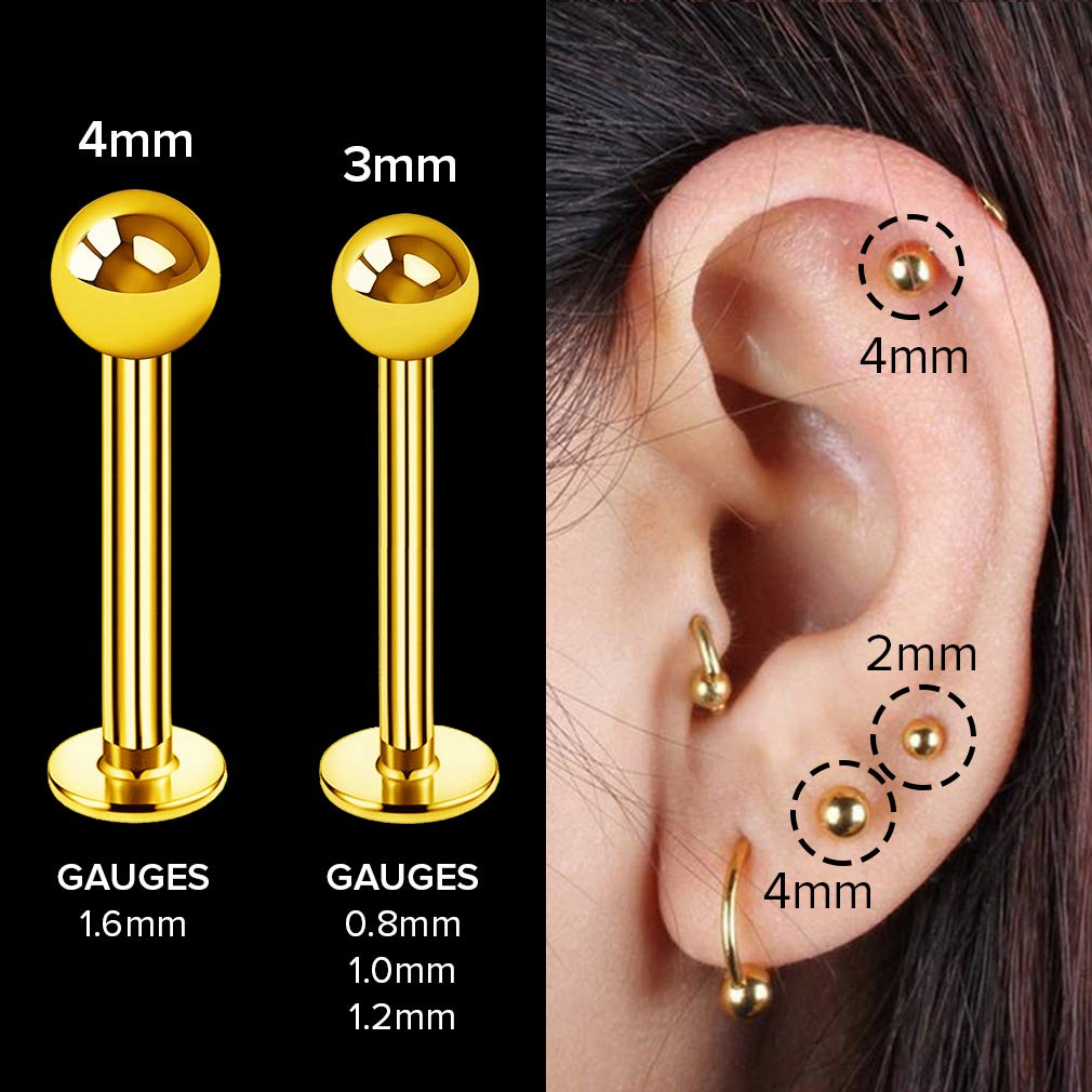 Evonix 7pc 14g 12mm Labret Studs Lip Ring Snake Spider Bite Forward Helix Monroe Dahlia Inner Conch Surgical Steel Black 4mm Ball