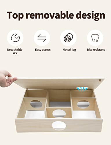 Rubor Multi-Chamber Hamster House Maze, Hamster Hideout Small Pets Woodland House Habitats Decor, Hamster Tunnels Activity Hamster Burrow for Hamster Mice Gerbils Lemming