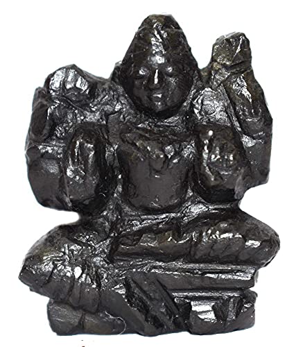 Rudrakshguru Goddess Lakshmi Idol Carved on Natural Sudarshan Shaligram