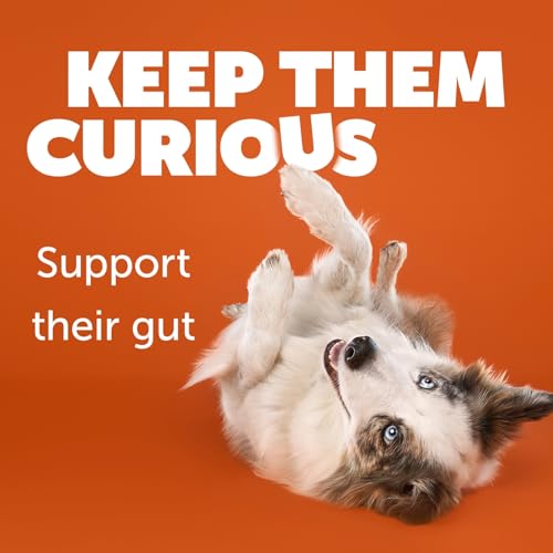 Protexin Daily Care Gut+ Immunity, 60 probiotic and postbiotic Dog Supplement Chews โ Turkey and Cranberry Flavored