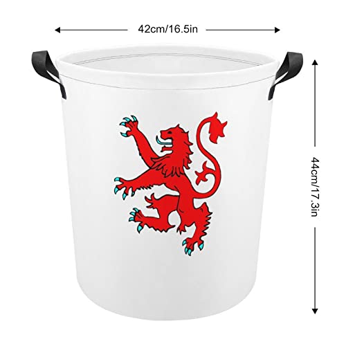Lion Rampant Scotland Large Laundry Basket Hamper Bag Washing with Handles for College Dorm Portable