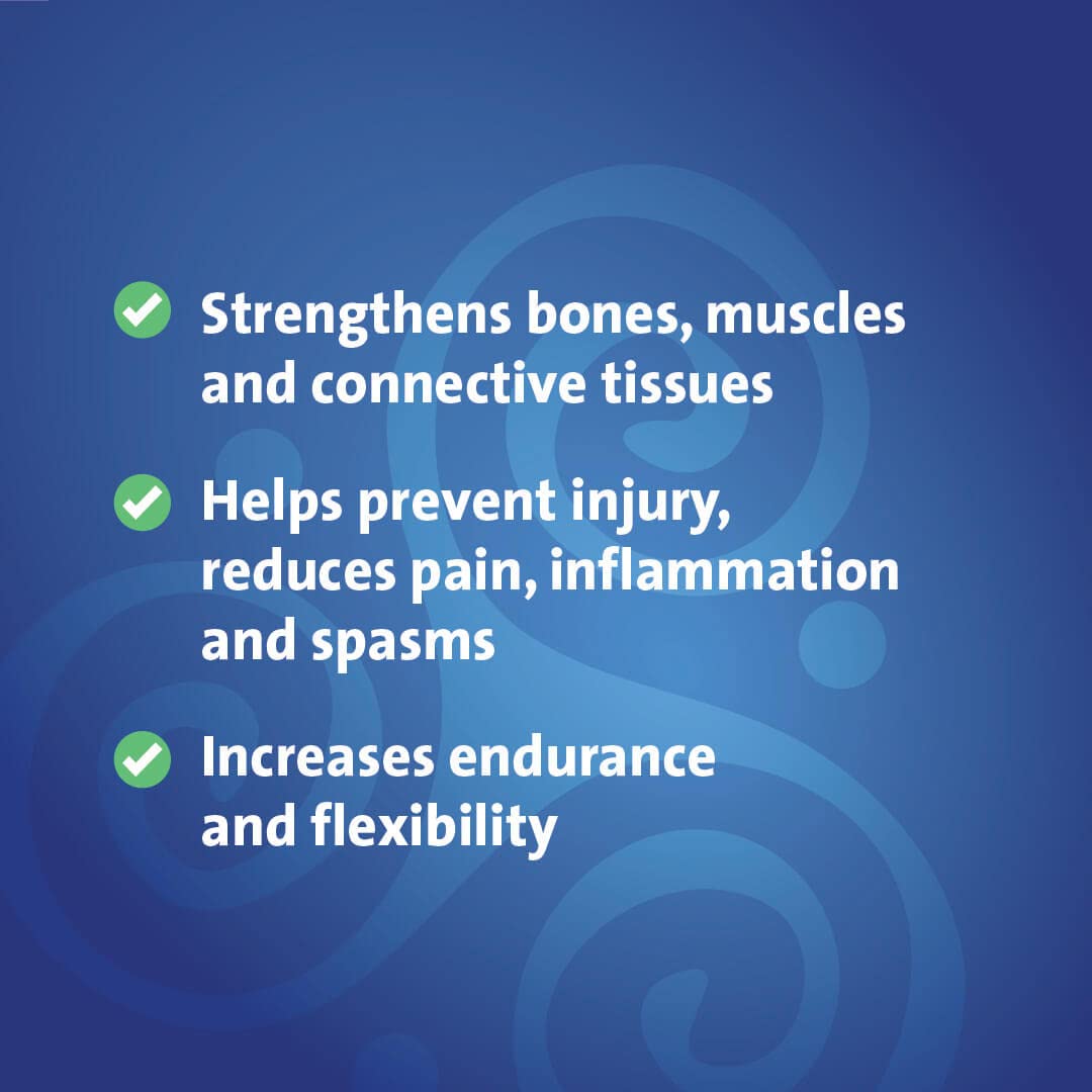 PURICA Recovery SA Powder 350g - Advanced Support for Joints, Comfort & Mobility in Dogs & Cats - Natural & Safe Supplement