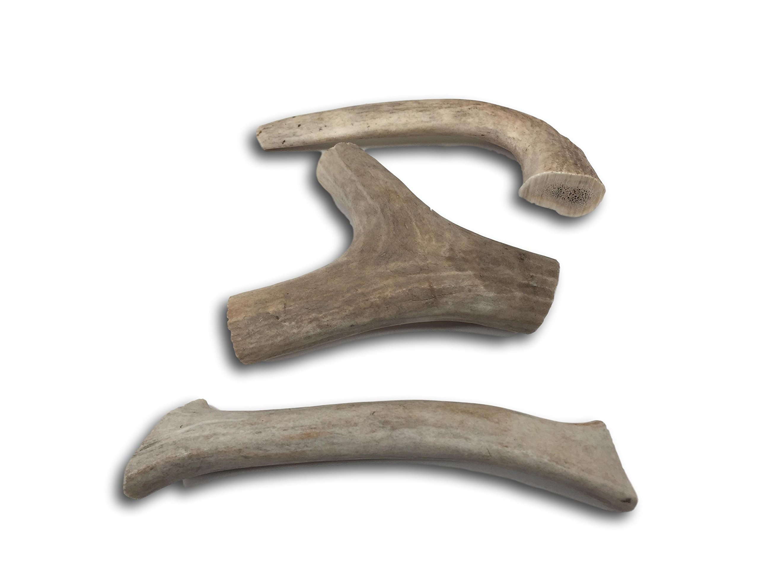 Top Dog Chews Brand | 3 Pack | A Grade | Deer and Elk Antler Dog Chews Medium 4"-6". Perfect for Small and Medium Dogs
