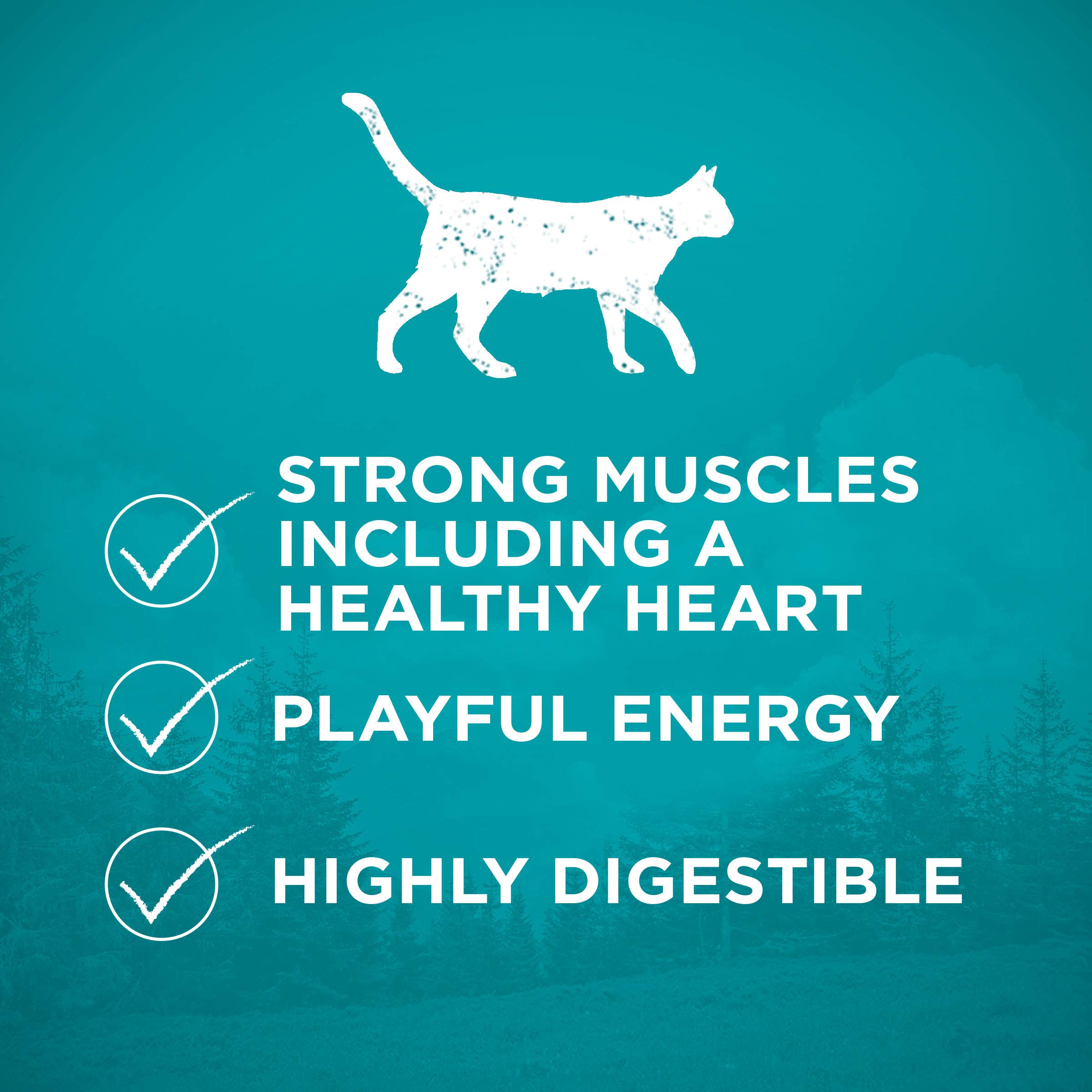 Purina ONE Natural, High Protein, Grain Free Dry Cat Food, True Instinct With Real Chicken - 6.3 Lb. Bag