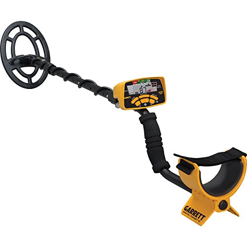Garrett ACE 300 Metal Detector with Waterproof Coil Pro-Pointer II and Carry Bag