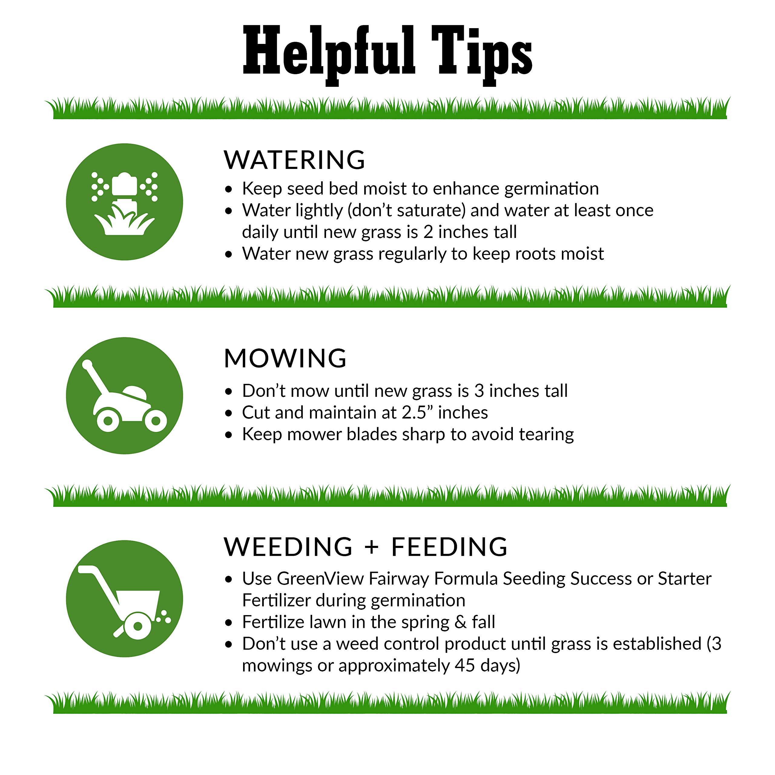 GreenView Fairway Formula Grass Seed Perennial Ryegrass Blend - 20 lb. Bag
