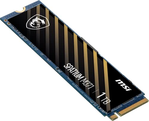 MSI SPATIUM M371 NVMe M.2 1TB Internal SSD PCIe Gen3 NVMe 3D NAND (SPATIUM M371 NVMe M.2 1TB)