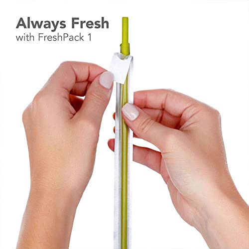 Enviroscents Auto Sticks Natural Car Air Fresheners, 6-Pack with 12 Sticks (Coastal Storm)