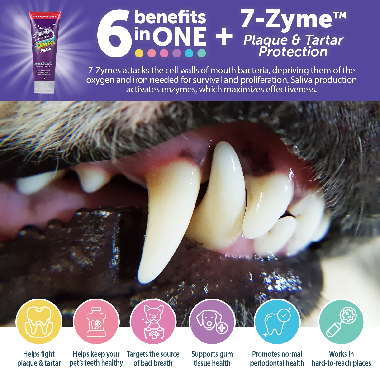 Dental Fresh Enzymatic Gel for Dogs, Dog Toothpaste – Dog Essentials for Dog Teeth Cleaning