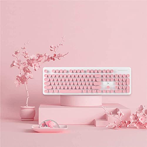 LexonElec Wired USB Keyboard Mouse Combo Gamer N518 104 Keys White LED Backlit Punk Keycap Ergonomic Pro Gaming Keypad + 1600DPI 4 Buttons Optical Game Mice for Laptop PC (Pink & White Light)