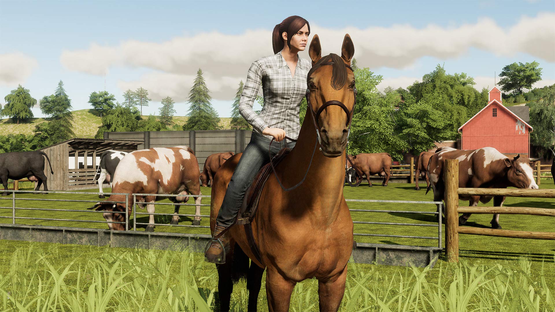 Farming Simulator 19: Premium Edition (PS4)