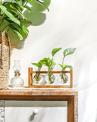 Ivolador Tabletop Propagation Station,Plants Terrarium Glass Bulb Terrarium with Retro Solid Wooden Stand for Hydroponics Plants Home Garden Wedding Décor (3 Bulbs)