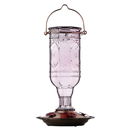 More Birds Amethyst Jewel Hummingbird Feeder, Glass Hummingbird Feeders for Outdoors, 5 Feeding Stations, 20 Ounces