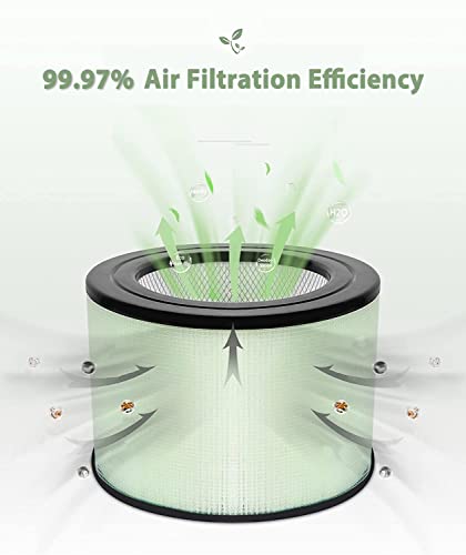 Future Way Upgraded Filter Compatible with Honeywell 50250/24000 / 24500 Air Purifier, 2 Wrapping Carbon Filters