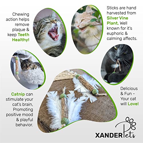 XanderPets Cat Chew Stick - Matatabi Stick for Cat - Silvervine Chew Sticks for Cats - Cat Dental Sticks w/Cat Nips Organic - All Breeds 3PK