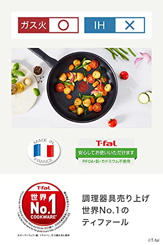 T-fal B55918 Egg Roaster, 4.7 x 7.1 inches (12 x 18 cm), Compatible with Gas Stoves, Cranberry Red, Non-Stick, Red