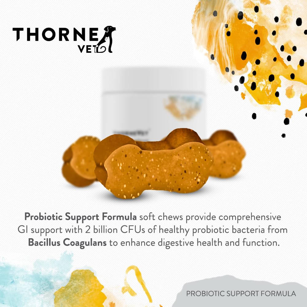ThorneVET Probiotic Support Formula β Gastrointestinal Support for Dogs, Cats & Horses 60 Soft Chews