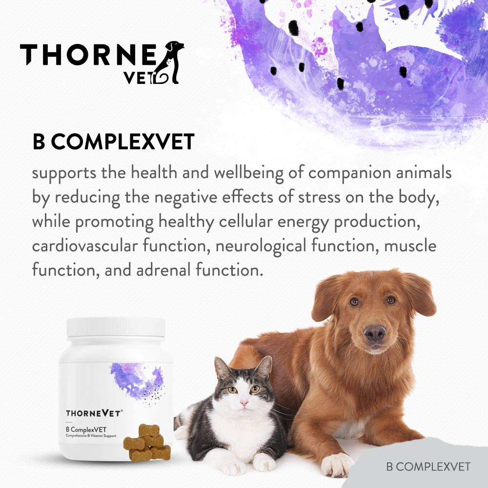 ThorneVET B ComplexVET β Vitamin B Complex Support for Dogs, Cats & Horses, 60 Soft Chews