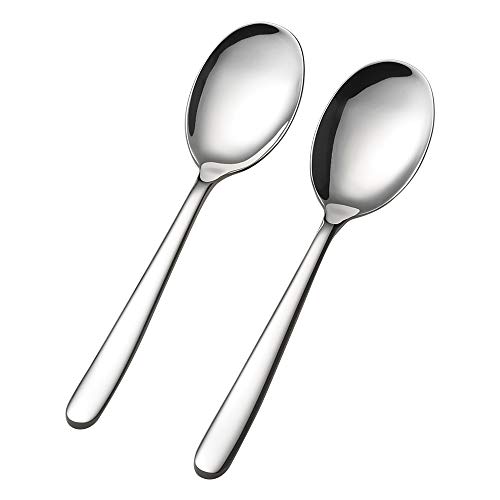 Yarebest 4-piece Large Buffet Serving Spoon Stainless Steel, 9.44 Inch