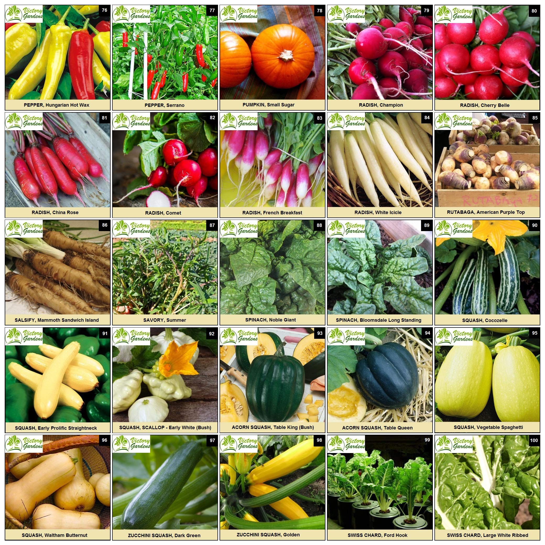Garden Seeds Vegetable Variety Pack for Planting - Grow 125 Varieties of Heirloom Non GMO Quick Sprouting Veggies - Premium Seed Vault by Victory Gardens