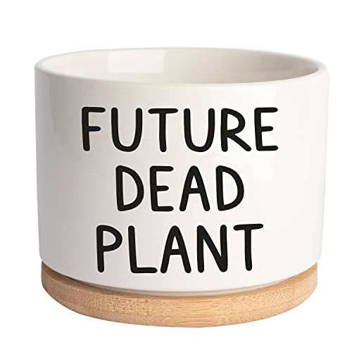 JENVIO Future Dead Plant | Ceramic Succulent Pot Plant | Cool Birthday Christmas Planter Stuff | Unique Gift | Home Kitchen Office Decor 3.6 Inch (Plant Not Included)