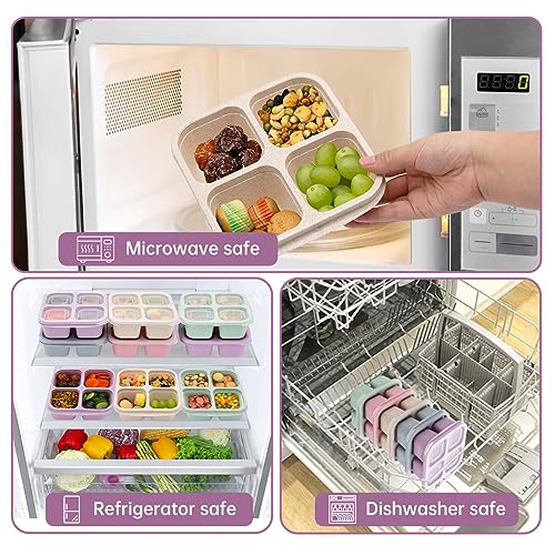 rngwaper 5 Pack Bento Lunch Box,4 Compartment Snack Containers,Divided Bento Snack Box,Meal Prep, Lunch Box Kids/Toddle/Adults,Food Storage Containers for School, Work and Travel (Multicolor-1)