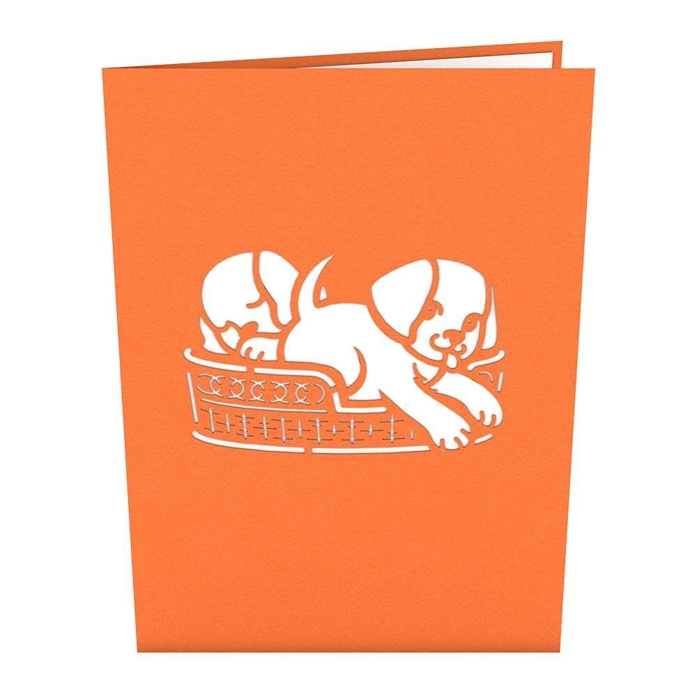 Dog Family Lovepop Card