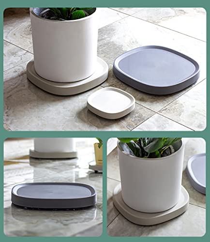 MYBAQ,Plant Caddy,Plant Caddy with Wheels,Plant Dolly,Rolling Plant Stand,Planter Mover, Round Plant Roller Base for Vertical Planting Troughs, Patio Umbrella Base, Plant Pots, Trash Cans.