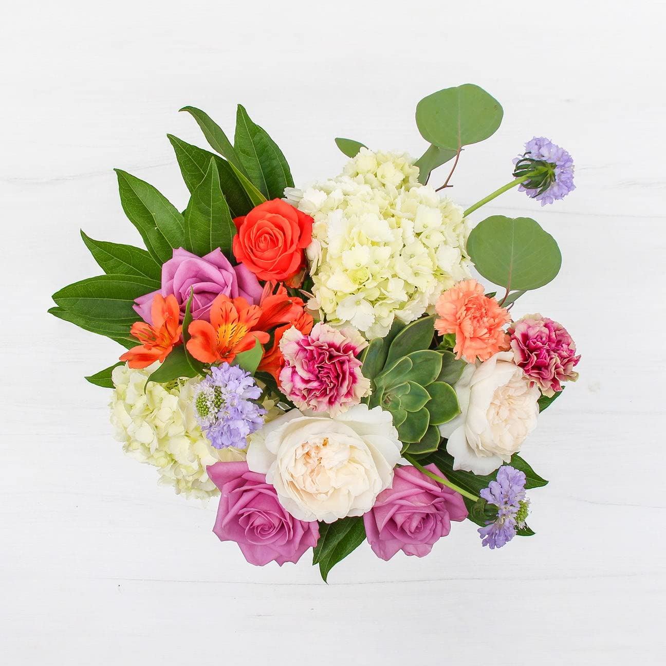 Gift 6 Months of Fresh Flower Bouquets. 20-25 PREMIUM Mixed Flower Varieties, Beautiful Box with Each Delivery.