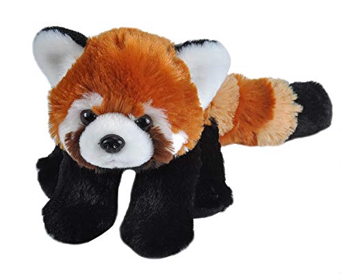 Wild Republic Red Panda Plush, Stuffed Animal, Plush Toy, Gifts for Kids, Cuddlekins, 8 Inches, Model:10876