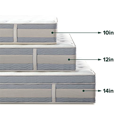 ZINUS 10 Inch Green Tea Cooling Gel Memory Foam Hybrid Mattress, Pocket Innersprings for Motion Isolation, Edge Support, Twin, White