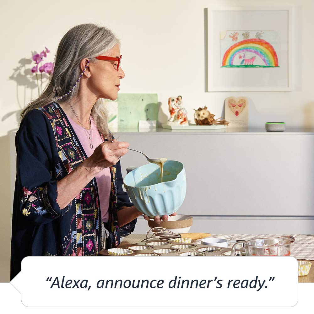 Echo Dot (3rd Gen) - Smart speaker with Alexa - Plum