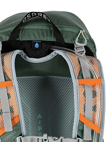 Osprey Hikelite 26L Unisex Hiking Backpack, Black, One Size