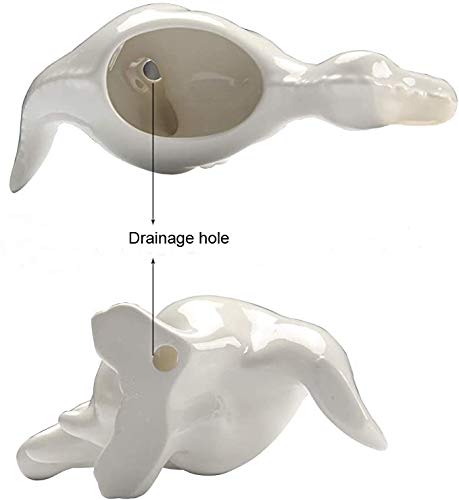 KiaoTime Dinosaur Shape White Ceramic Succulent Planters Pots Little Planter Flower Bonsai Dino Pots Vase Container Cactus Desktop Animal Decoration Pencil Holder Nursery Pots