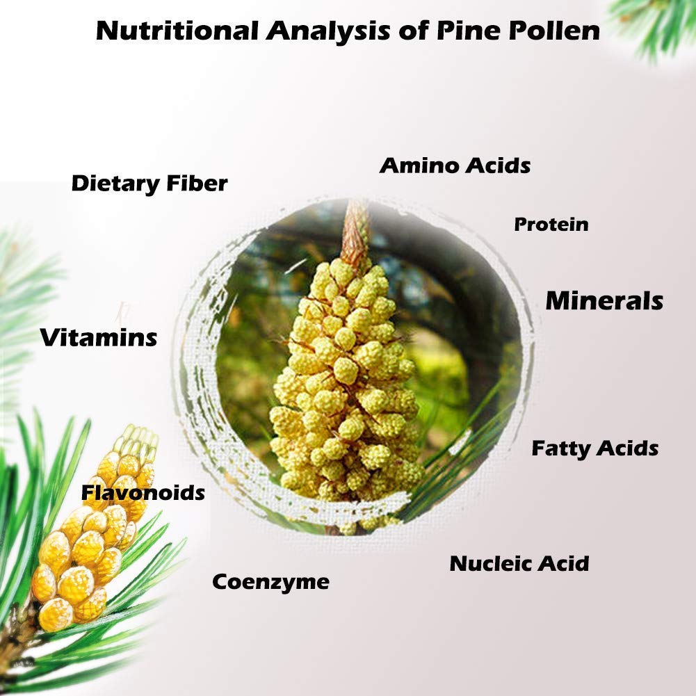 ECO-TASTE Pine Pollen Powder 6 Ounce, Wild Harvested - Pinus Tabuliformis, 99% Cracked Cell Wall