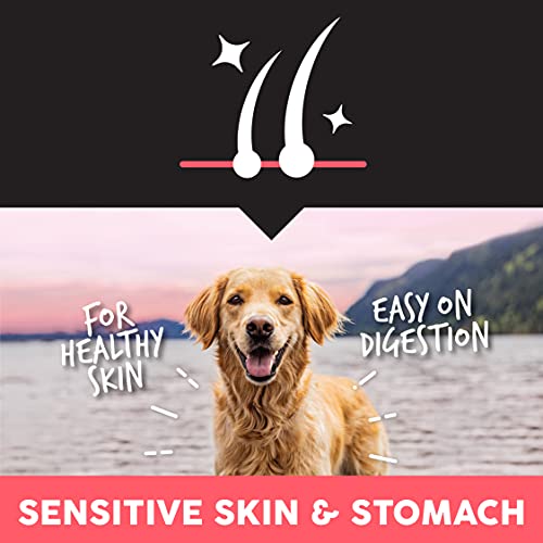 Ultimates Birsppy Sensitive with Salmon Protein Dry Dog Food, 28 lb