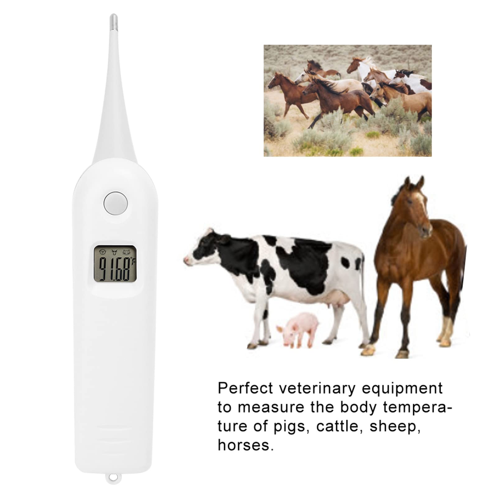 Pet Thermometer Digital Veterinary Electronic Thermometer Temperature Tester for Livestock Pigs Cattle Sheep Cats Dogs