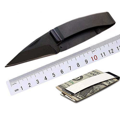 Money Clip Pocket Folding Knife - EDC Fold Knives Stainless Steel Silver Blade and Handle (Black)