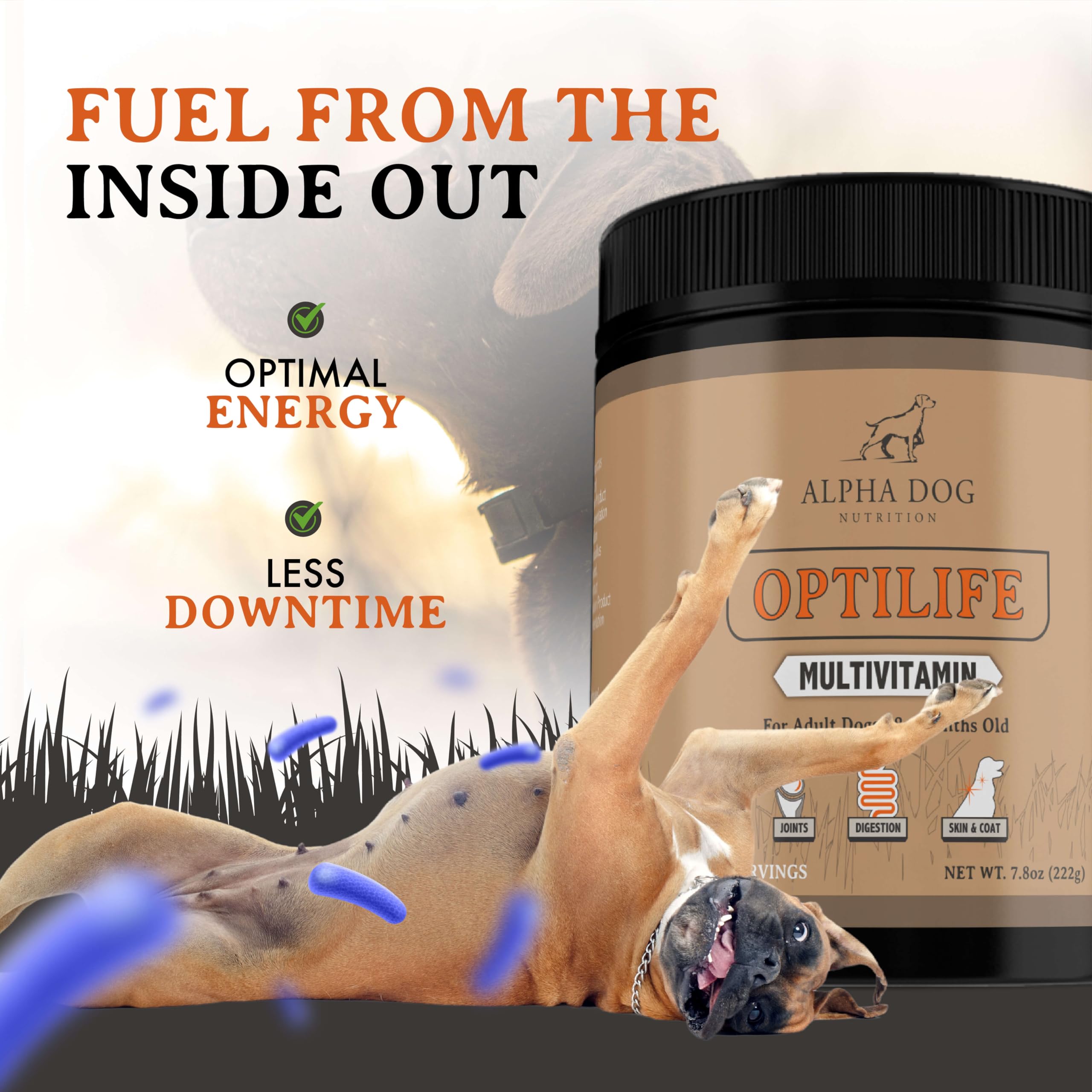 OptiLife Multivitamin for Adult Dogs - Contains Probiotics, Allergy Support, Joint Support, Muscle Recovery, and Skin & Coat Support - Powder Supplement (60 Servings)